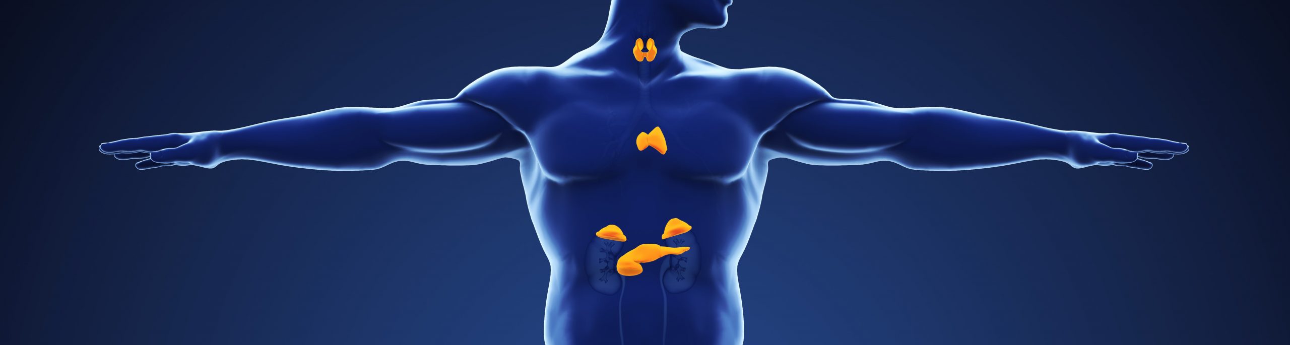 Endocrine surgery - Newcastle Hospitals NHS Foundation Trust