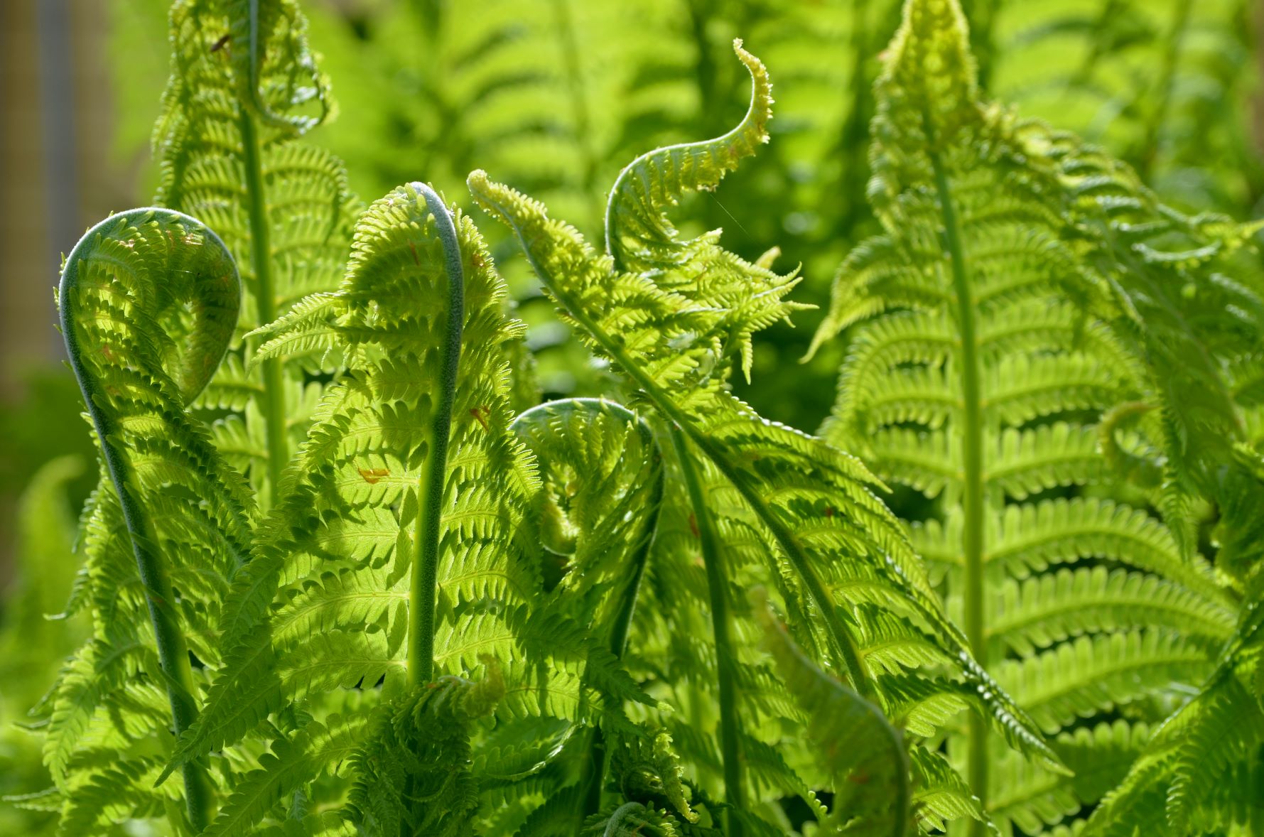 Tissue Viability / Wound Care Service - Newcastle Hospitals NHS ...