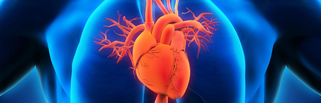 Cardiothoracic Services (Heart and Lung) - Newcastle Hospitals NHS ...