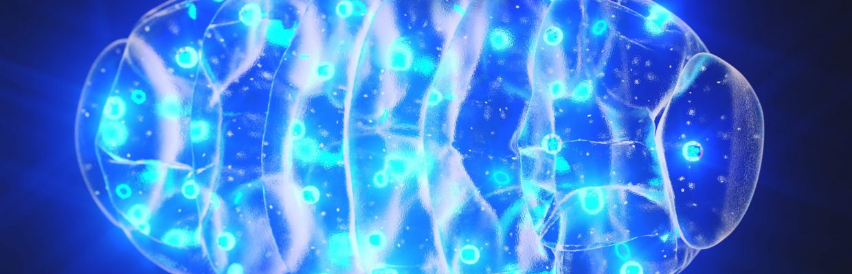 Mitochondrial diagnostic service - Newcastle Hospitals NHS Foundation Trust