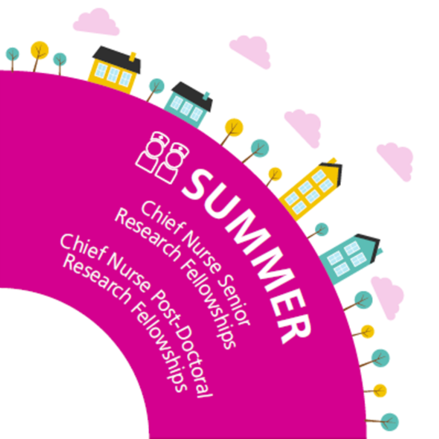 NMAHP Researcher Development Institute Chief Nurse Senior Research ...